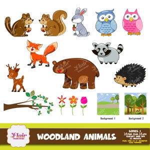 WOODLAND ANIMALS Digital Clipart, Forest Animals, Wildlife Clipart ...