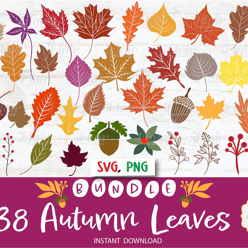 Autumn Tree No Leaves Svg - Etsy