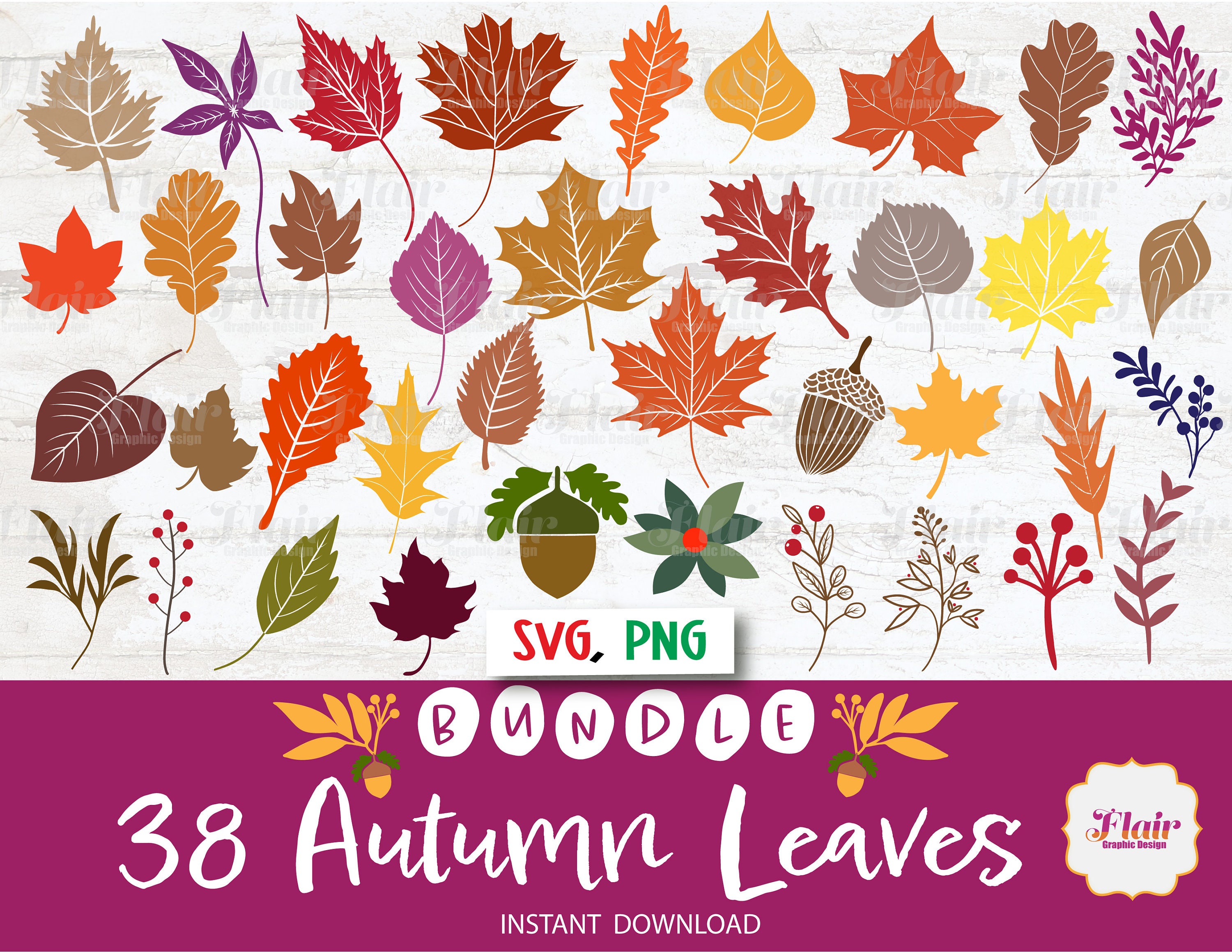 Autumn Leaves SVG PNG Bundle Digital Clipart Fall Leaf - Etsy