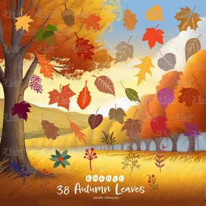 Autumn Leaves SVG, PNG Bundle Digital Clipart, Fall Leaf Divider SVG ...