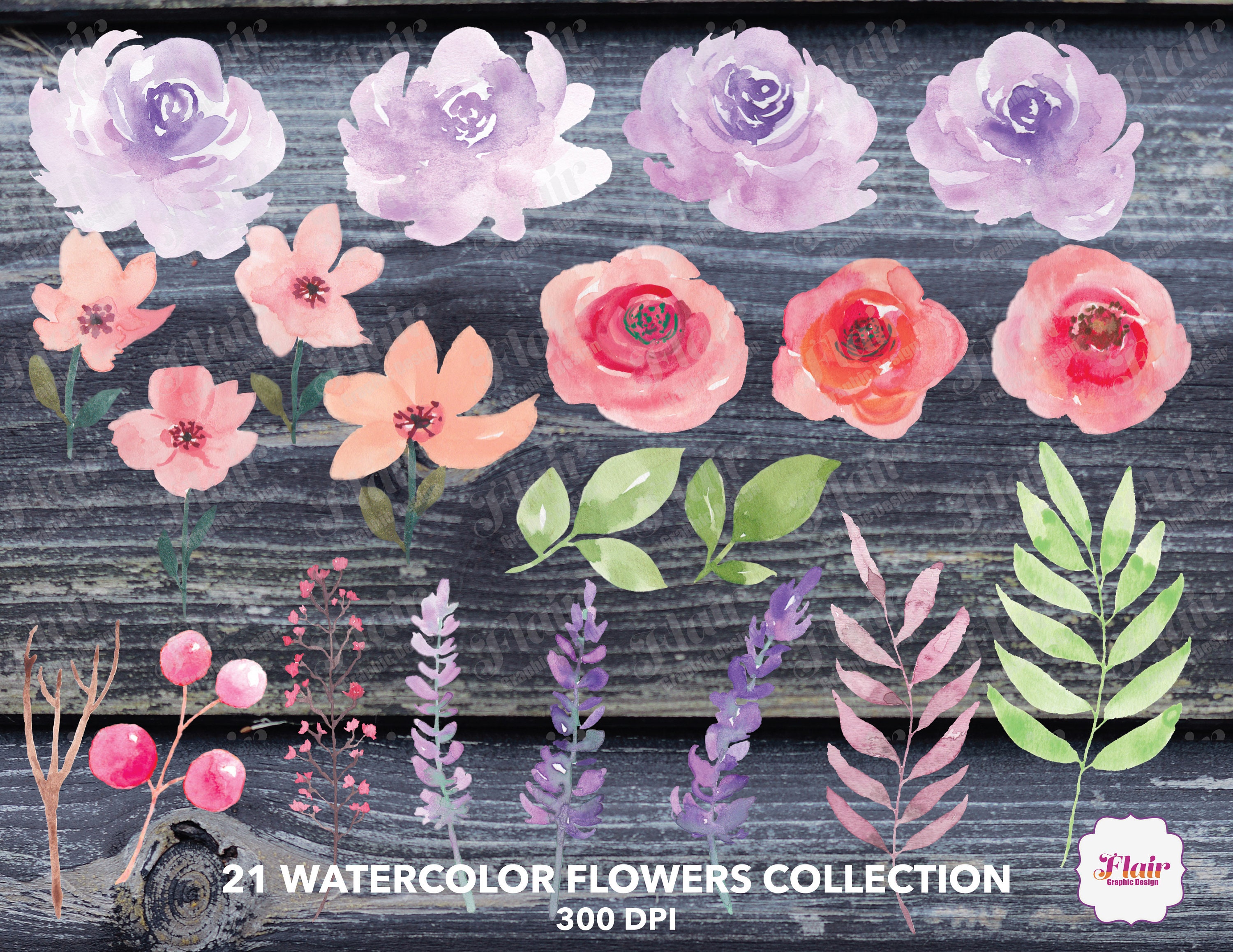 Neptune Roses Watercolor Flowers Clipart Hand-painted Purple - Etsy