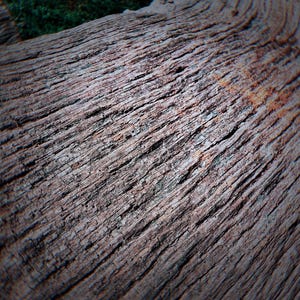 Vetustas Ring, Solid 9ct White Gold Minimalist Ring, Hand Textured Gold ...