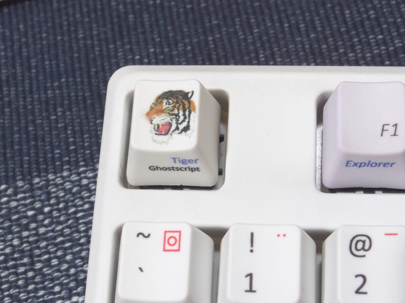 Custom ESC keycap for Cherry MX swtich | Etsy