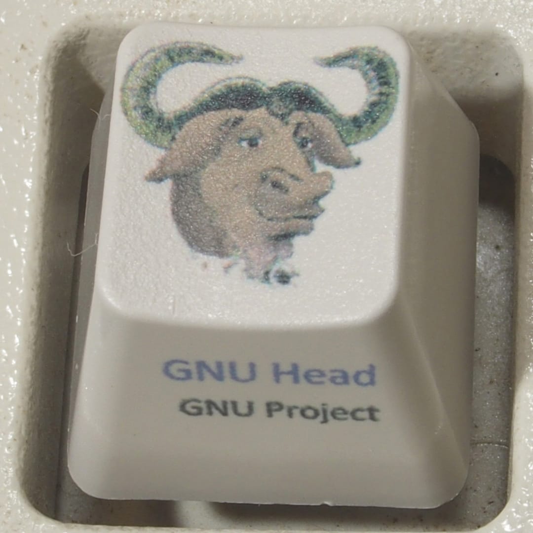 Custom Keycap for IBM Model M Keyboard - Etsy