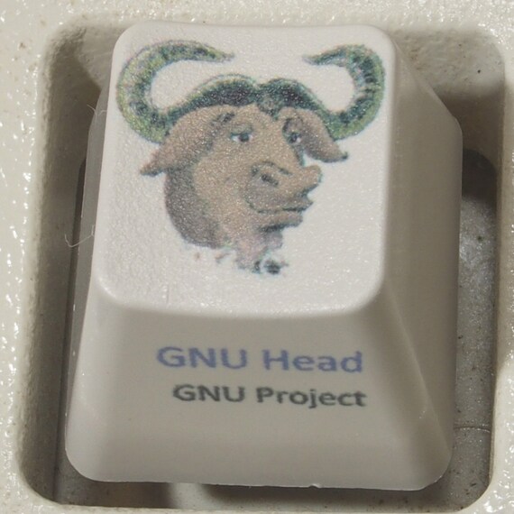 Custom Keycap for IBM Model M Keyboard - Etsy