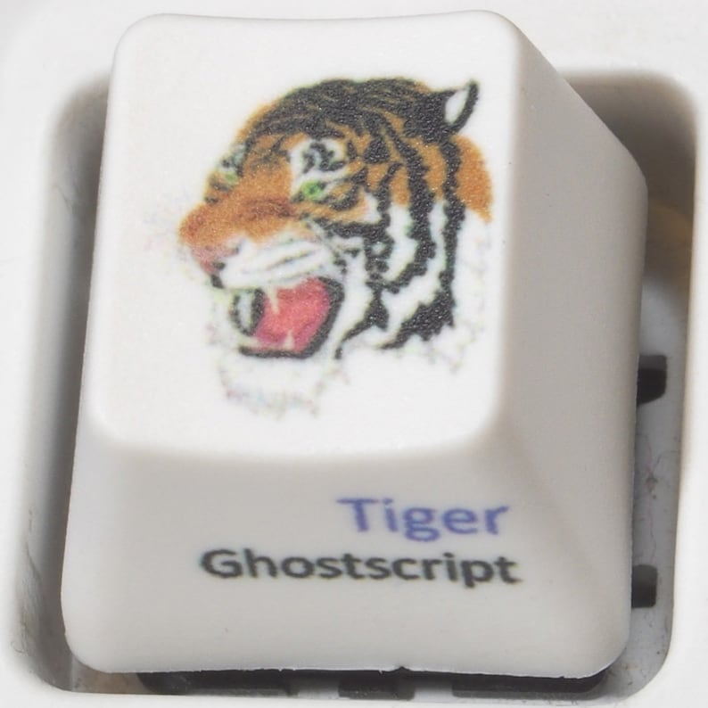 Custom ESC keycap for Cherry MX swtich | Etsy