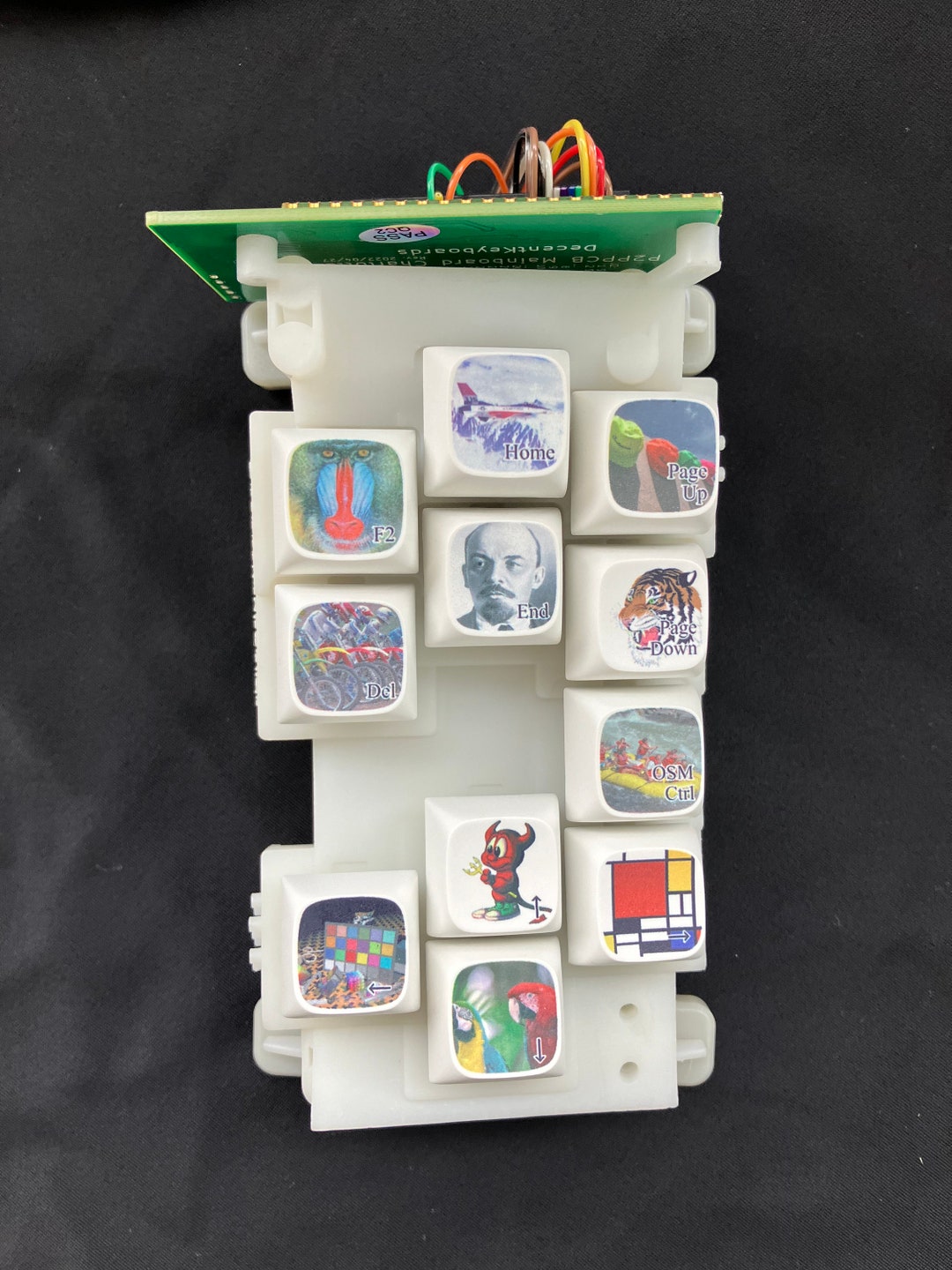 Starter Kit Bob - Etsy