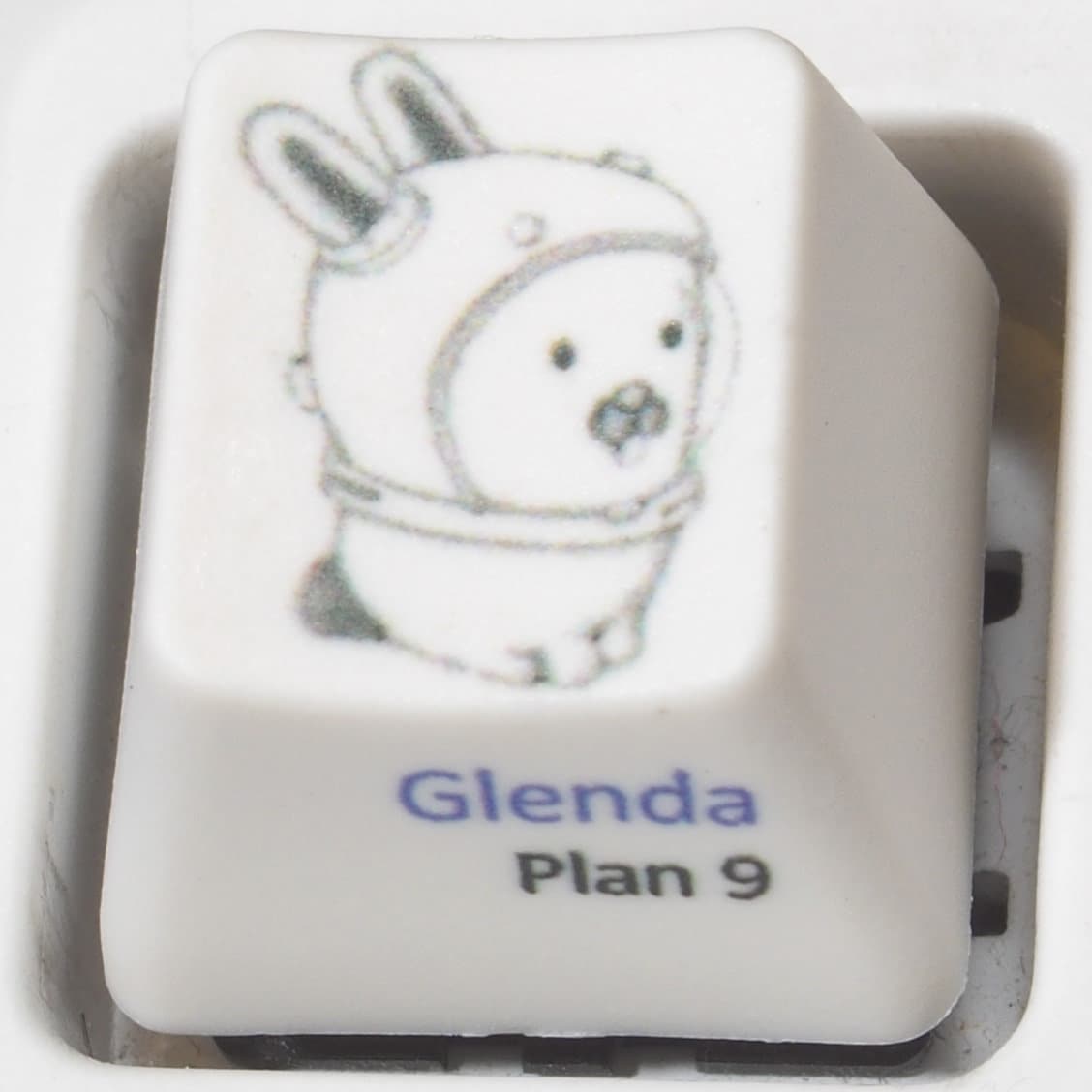 Custom ESC keycap for Cherry MX swtich | Etsy