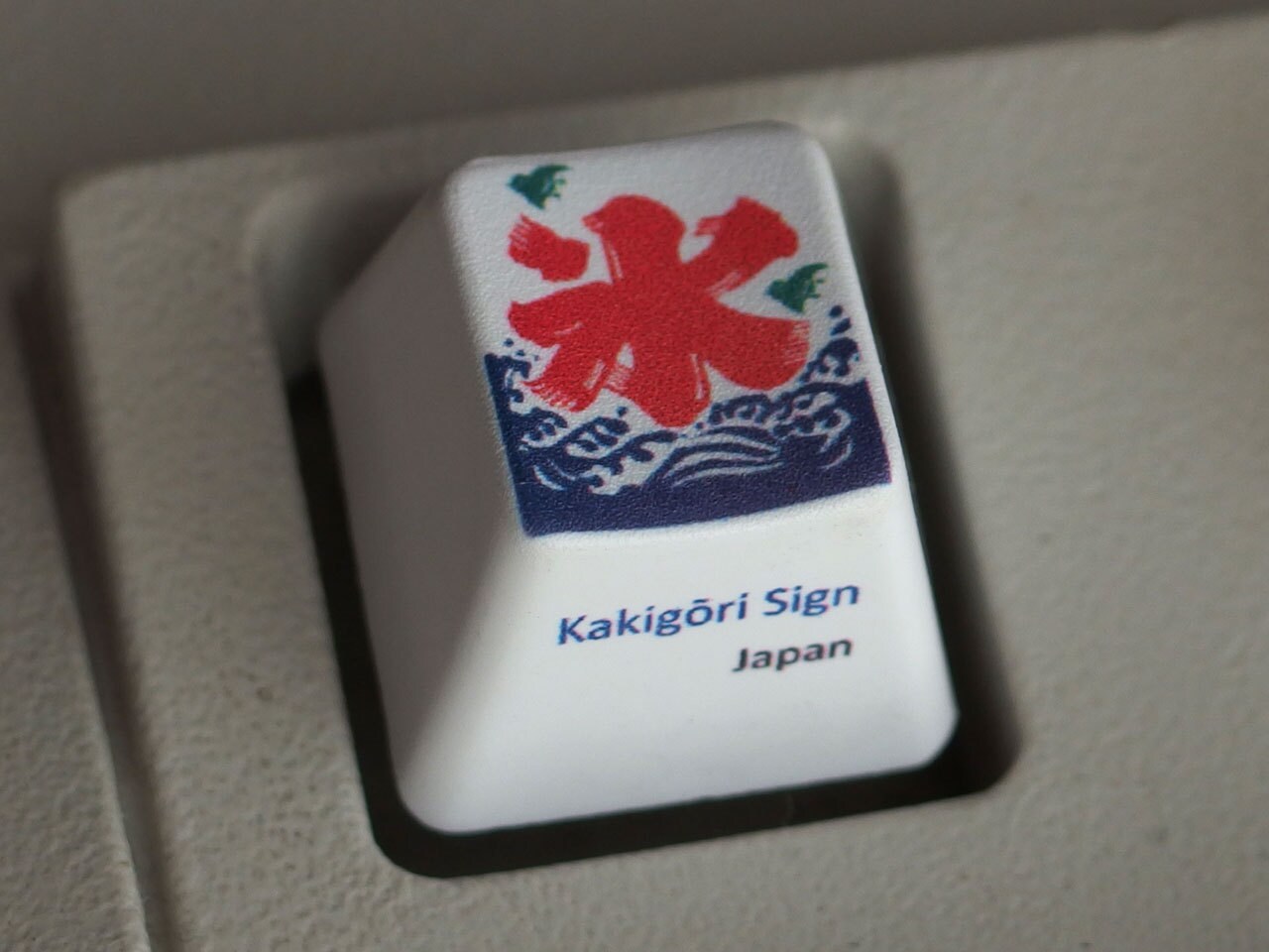 Custom Keycap for IBM Model M Keyboard - Etsy