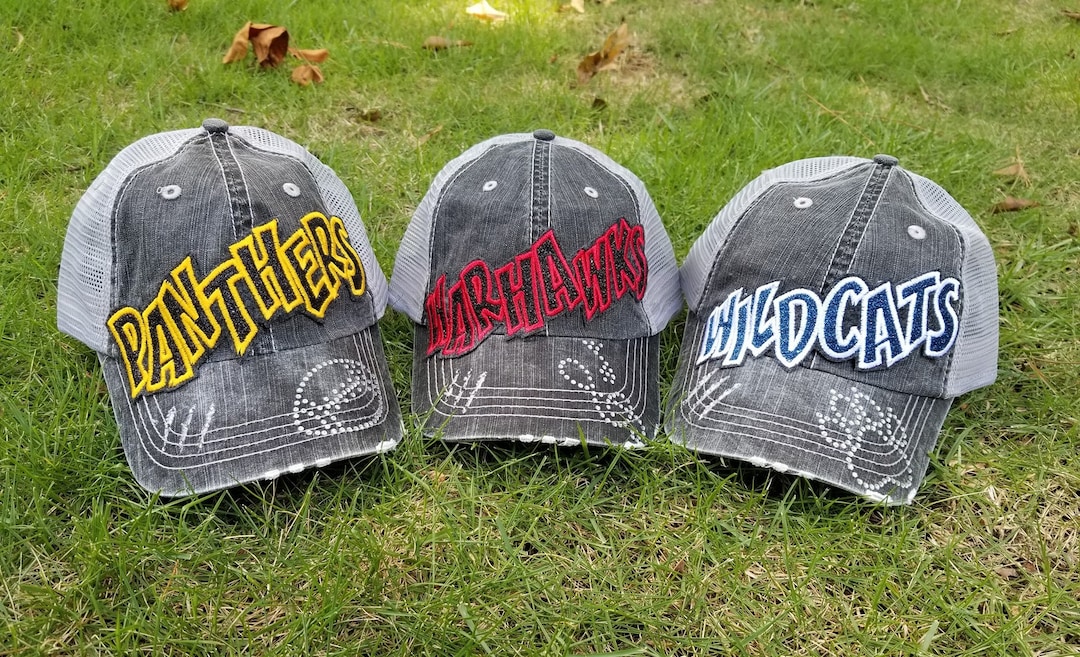 CUSTOM Baseball Hat, Mascot Hat, Team Hat, Custom Baseball Hat, Custom ...