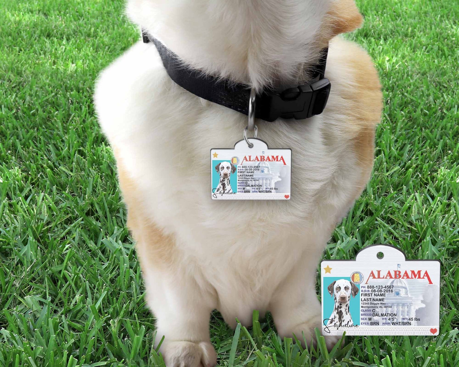 Personalized State ID Pet Tag Pet Tag Dog Tag License Pet - Etsy