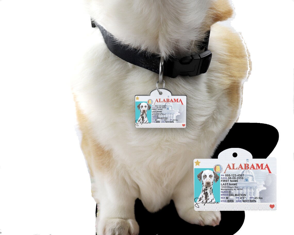 Personalized State ID Pet Tag Pet Tag Dog Tag License Pet - Etsy
