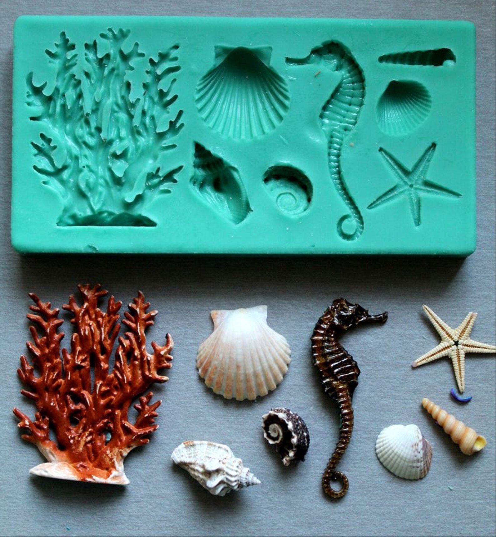 Silicone Mould Sea World Sugarcraft Cake Decorating Fondant / - Etsy