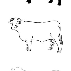 Cuts of Beef Stencil 3 Part by Studior12 Reusable Mylar - Etsy