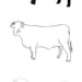 Cuts of Beef Stencil 3 Part by Studior12 Reusable Mylar - Etsy