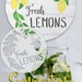 Fresh Lemons Stencil by Studior12 Farmhouse Lemon Tree Branch DIY ...