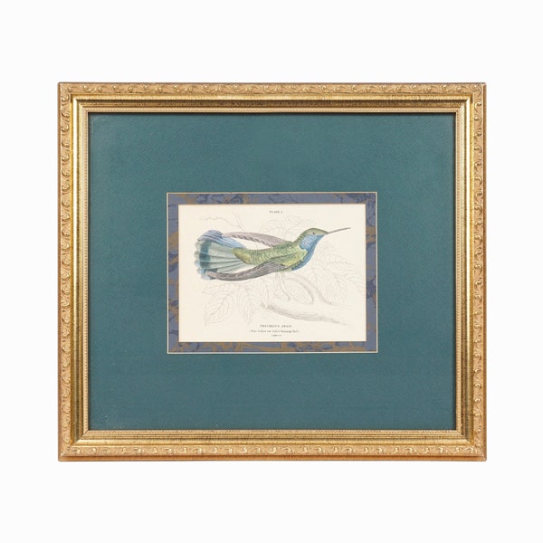 Bird Engraving - Etsy