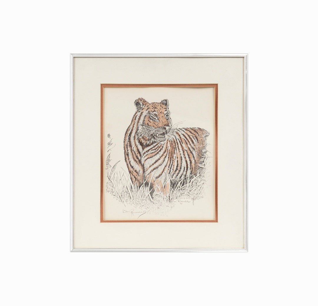Don Russell Hand Colored Print Tiger - Etsy