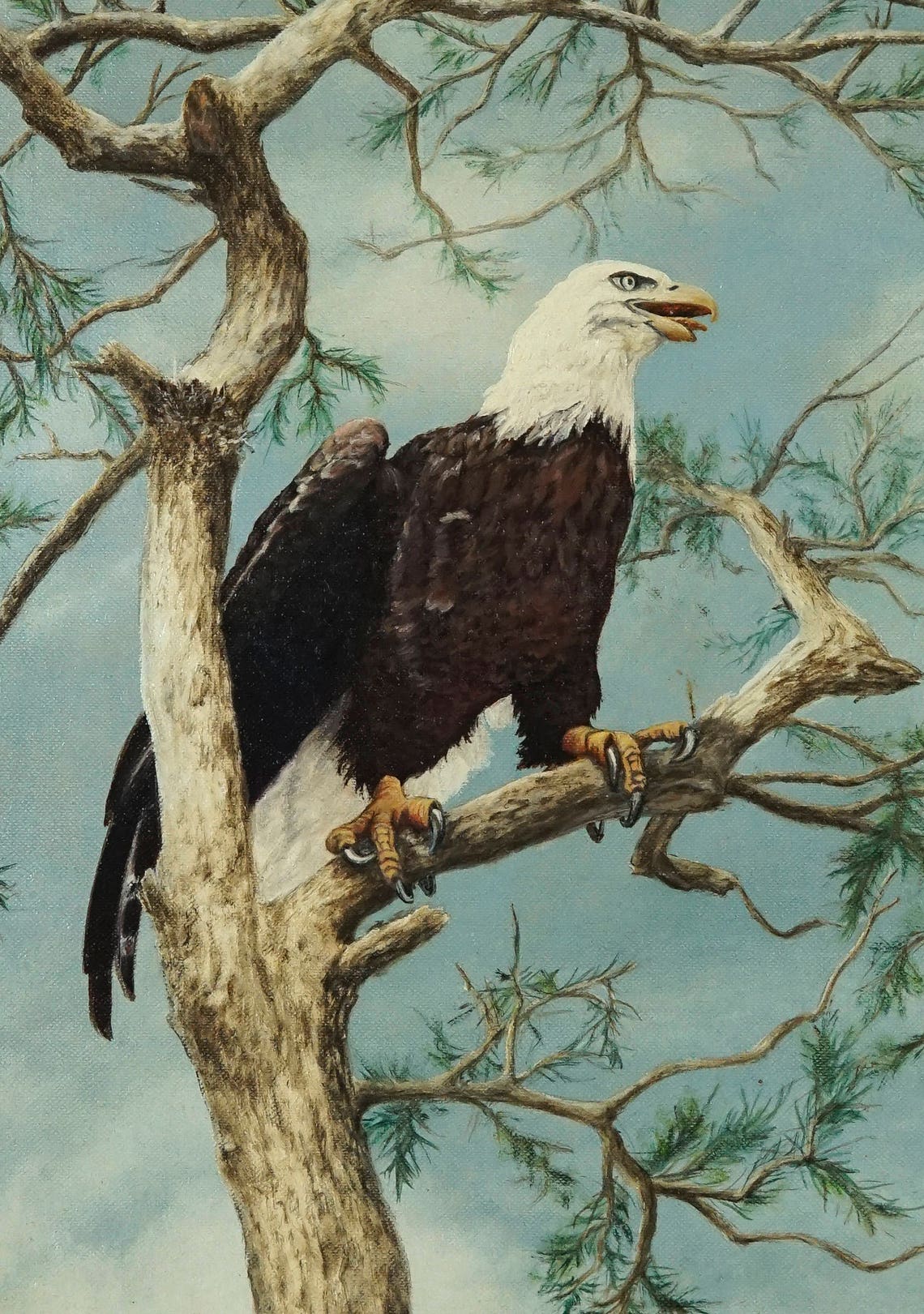 Vintage Zoe Wilde Oil Painting Bald Eagle Vintage Art 12 X 16 - Etsy