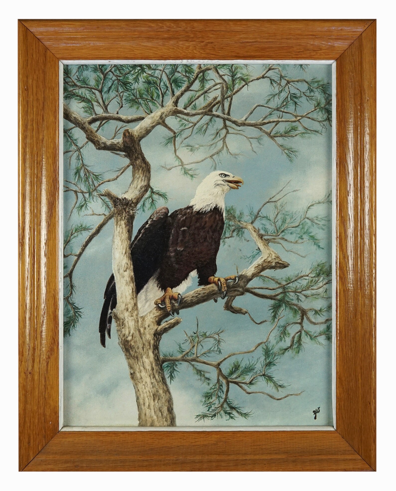 Vintage Zoe Wilde Oil Painting Bald Eagle Vintage Art 12 X 16 - Etsy