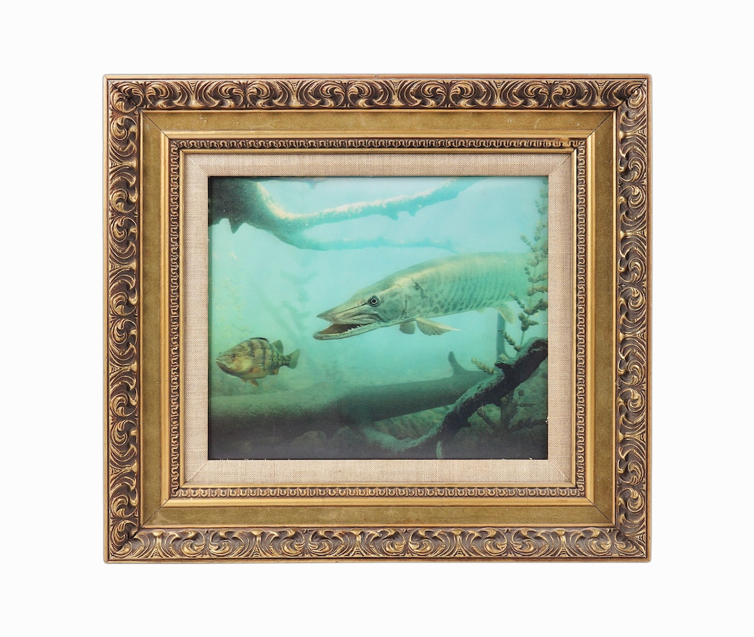 Vintage 3D Lentograph Muskellunge Fish - Etsy