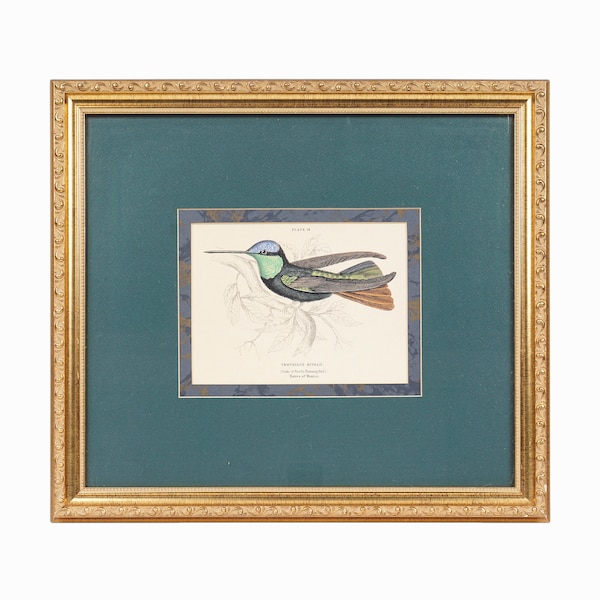 Bird Engraving - Etsy