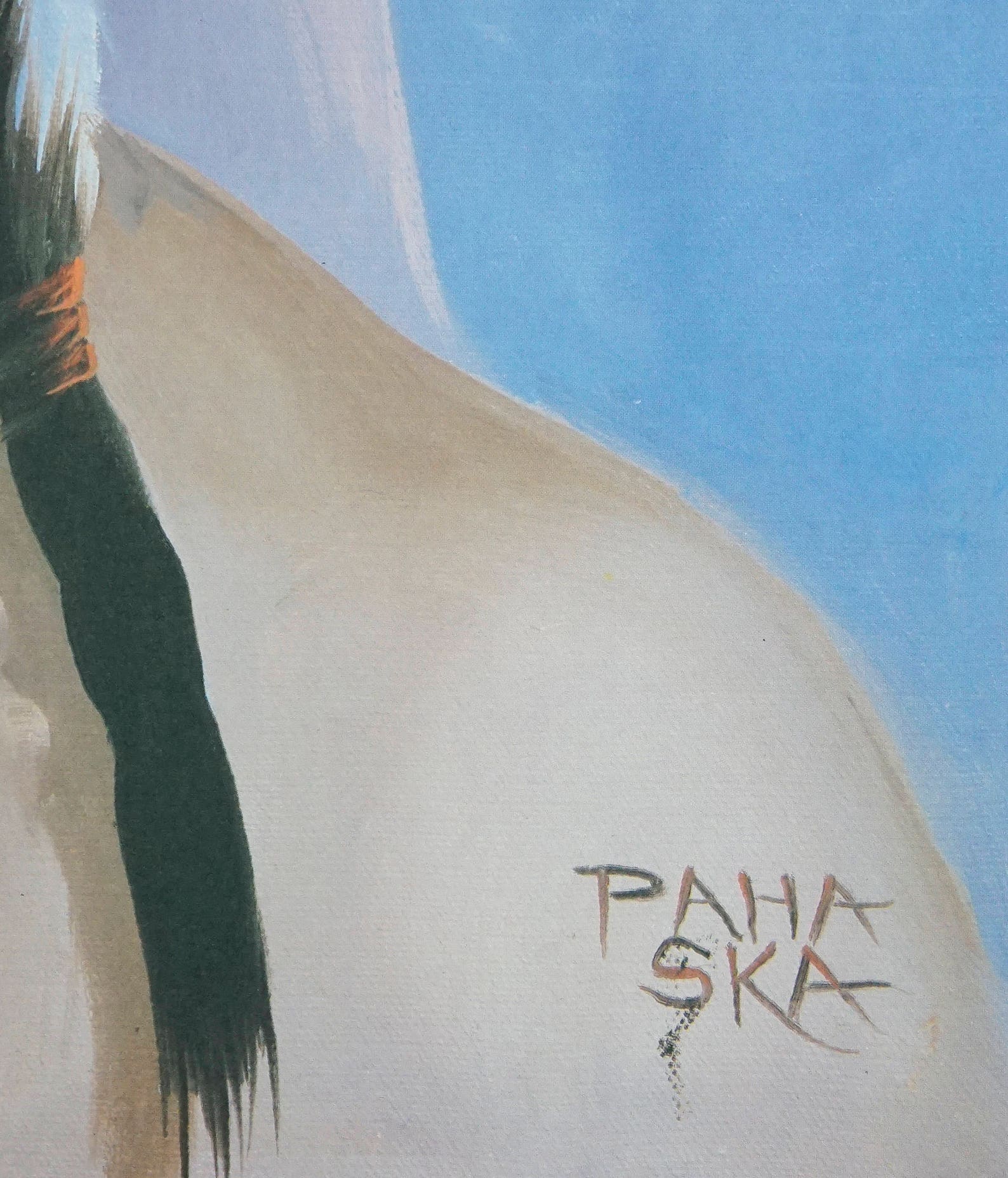 Vintage Paha Ska Offset Lithograph Print Native American - Etsy