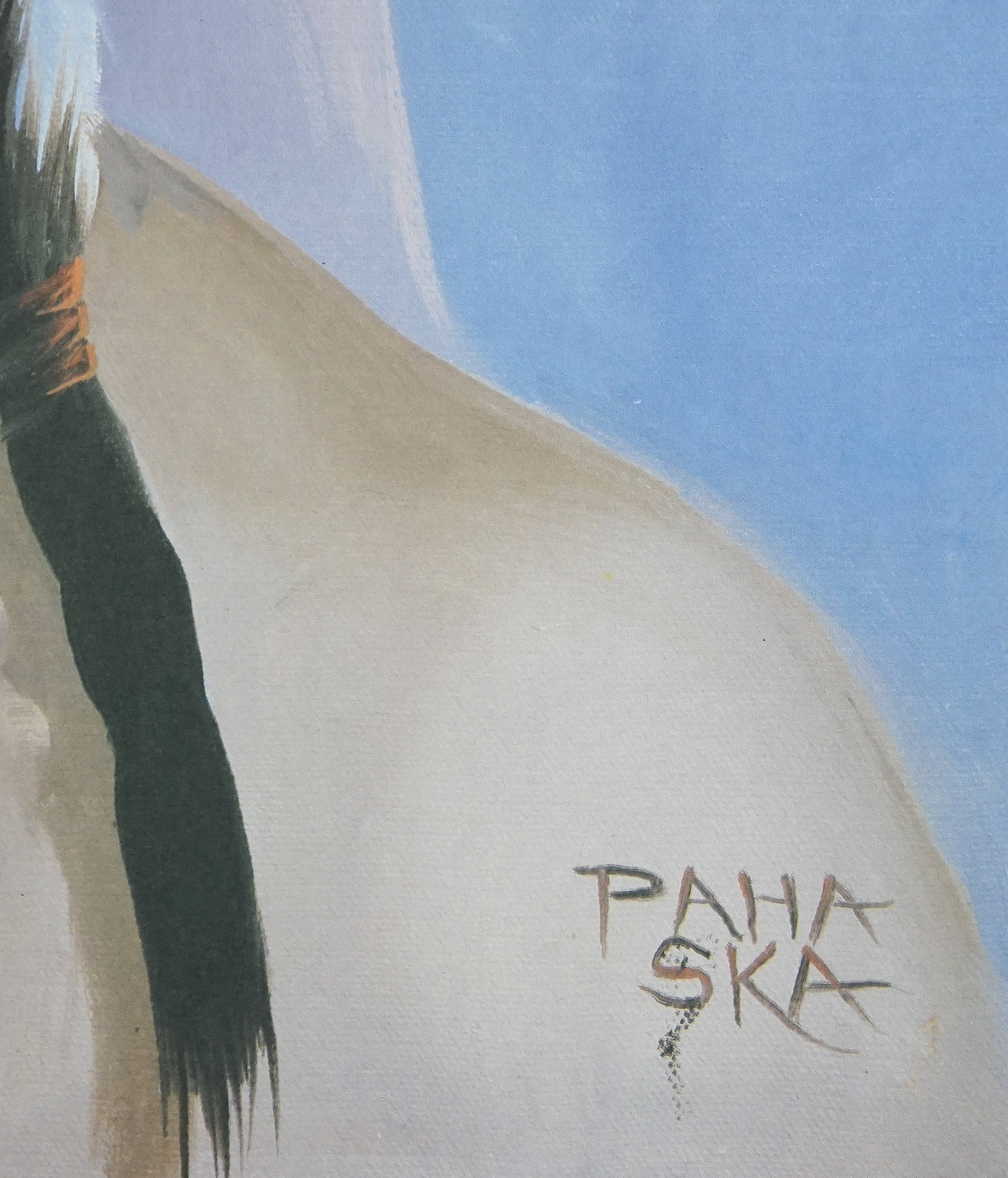Vintage Paha Ska Offset Lithograph Print Native American - Etsy