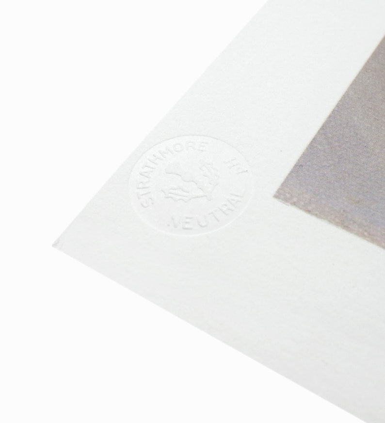 Vintage Paha Ska Offset Lithograph Print Native American - Etsy