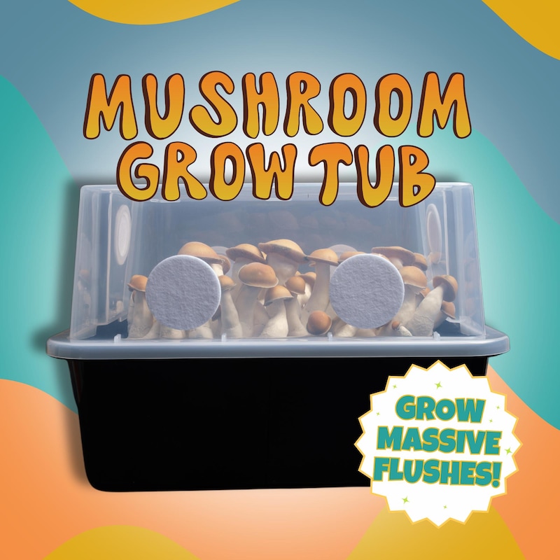 Mushrooms Spores Cubensis - Etsy