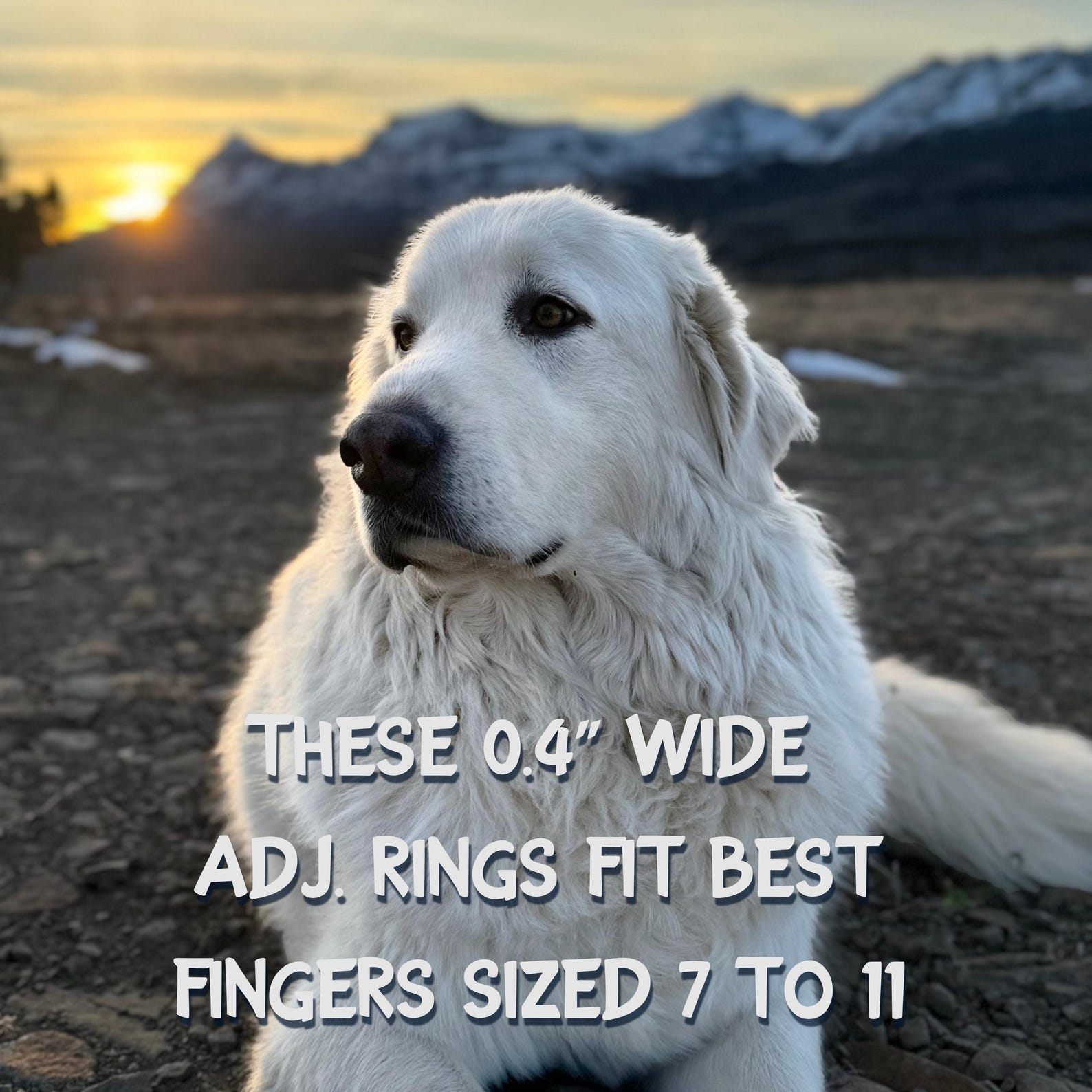 Freebird Eagle Adjustable Ring, Animal Ring - Eagle Jewelry - Etsy