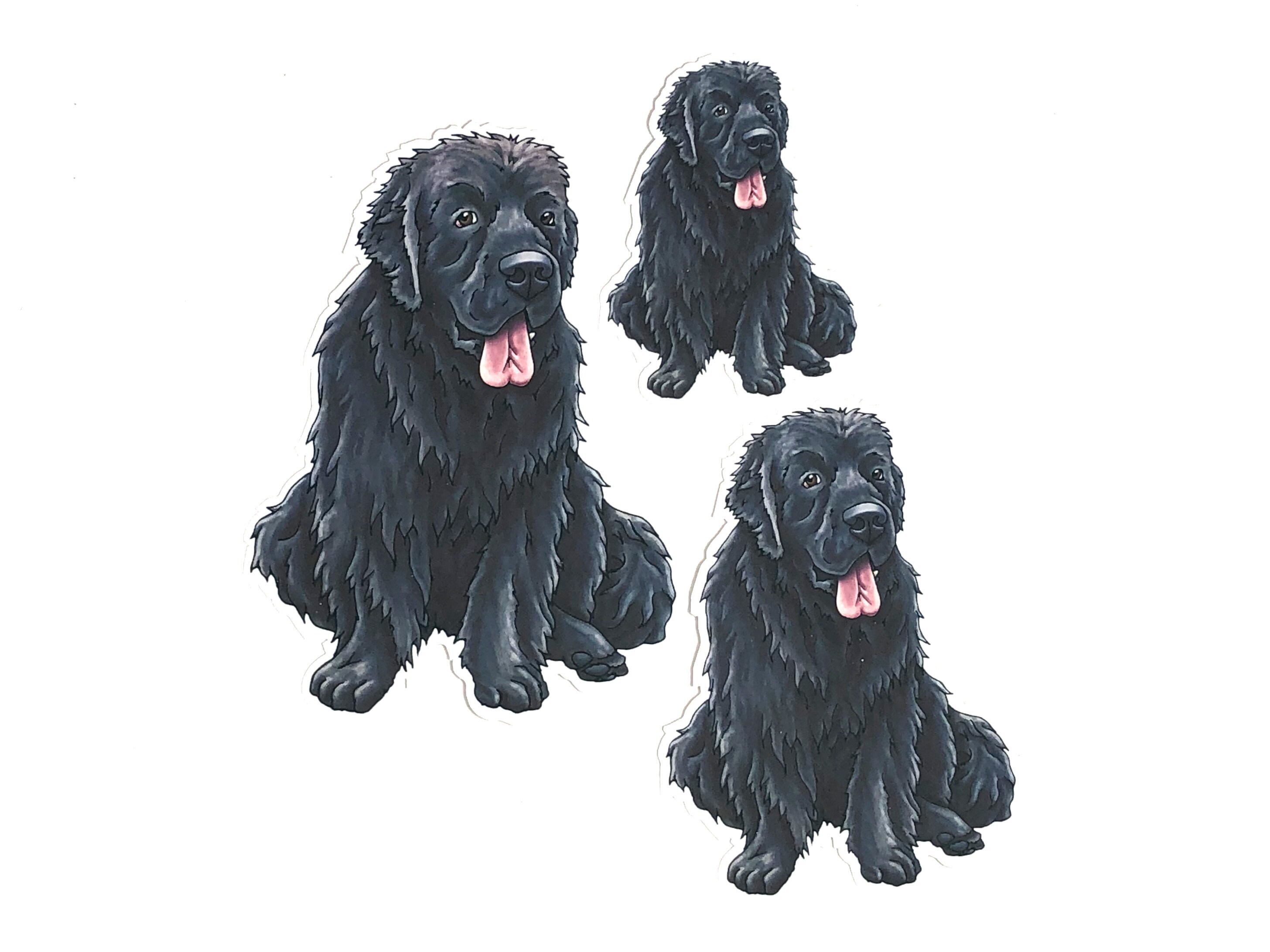 Newfoundland Vinyl Stickers Newfoundland Stickers Newfie Vinyl Stickers ...