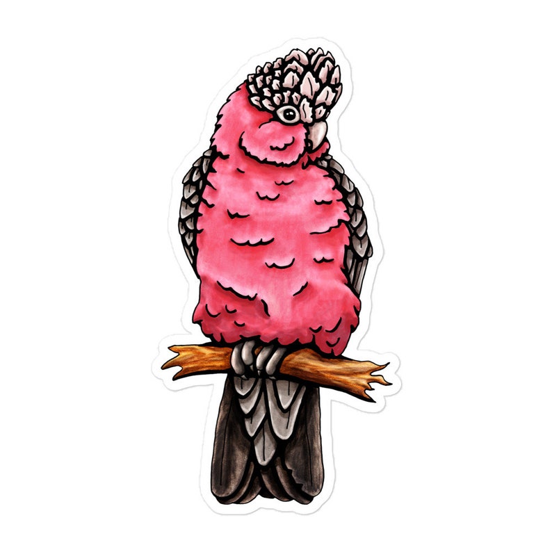 Outside US: Galah Cockatoo Bubble-free Sticker, Cockatoo Vinyl Sticker ...