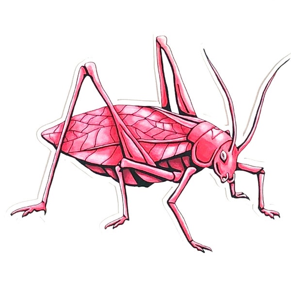 Katydid Crafts - Etsy