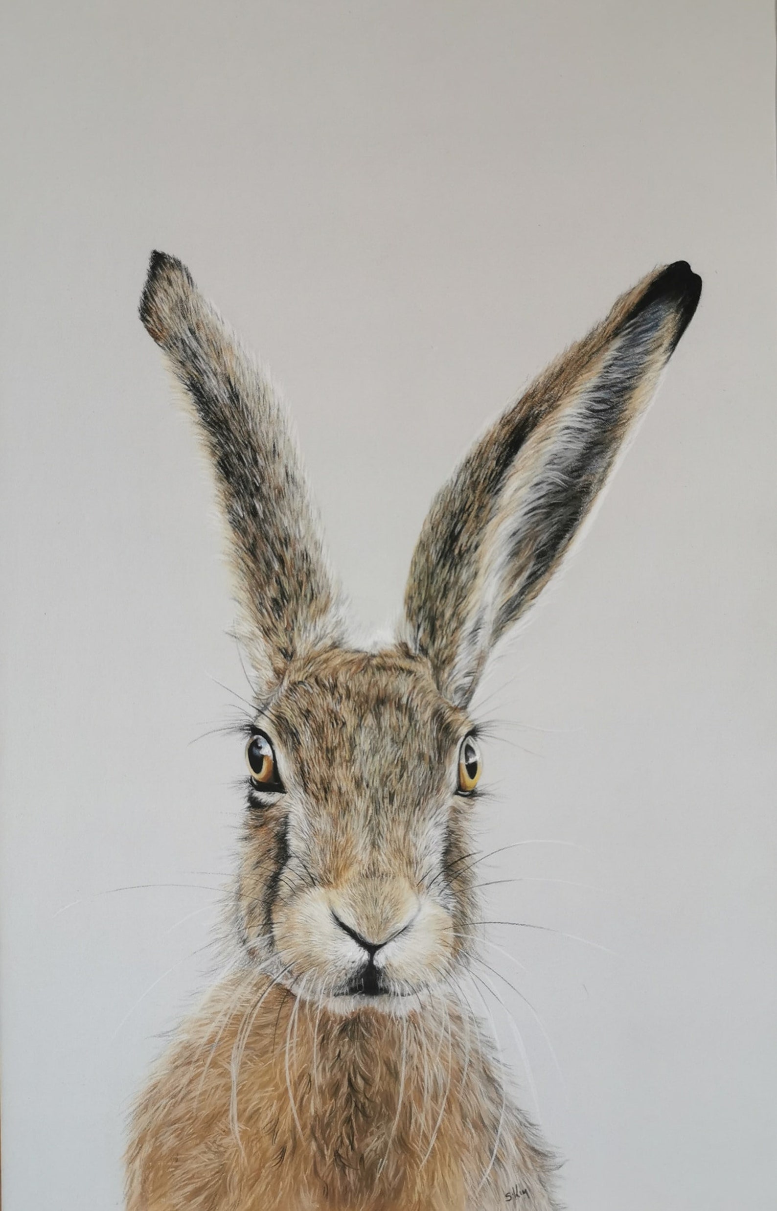 Harriet Hare Limited Edition Print Giclee Fine Art Print 2 - Etsy