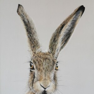 Harriet Hare Limited Edition Print Giclee Fine Art Print 2 - Etsy