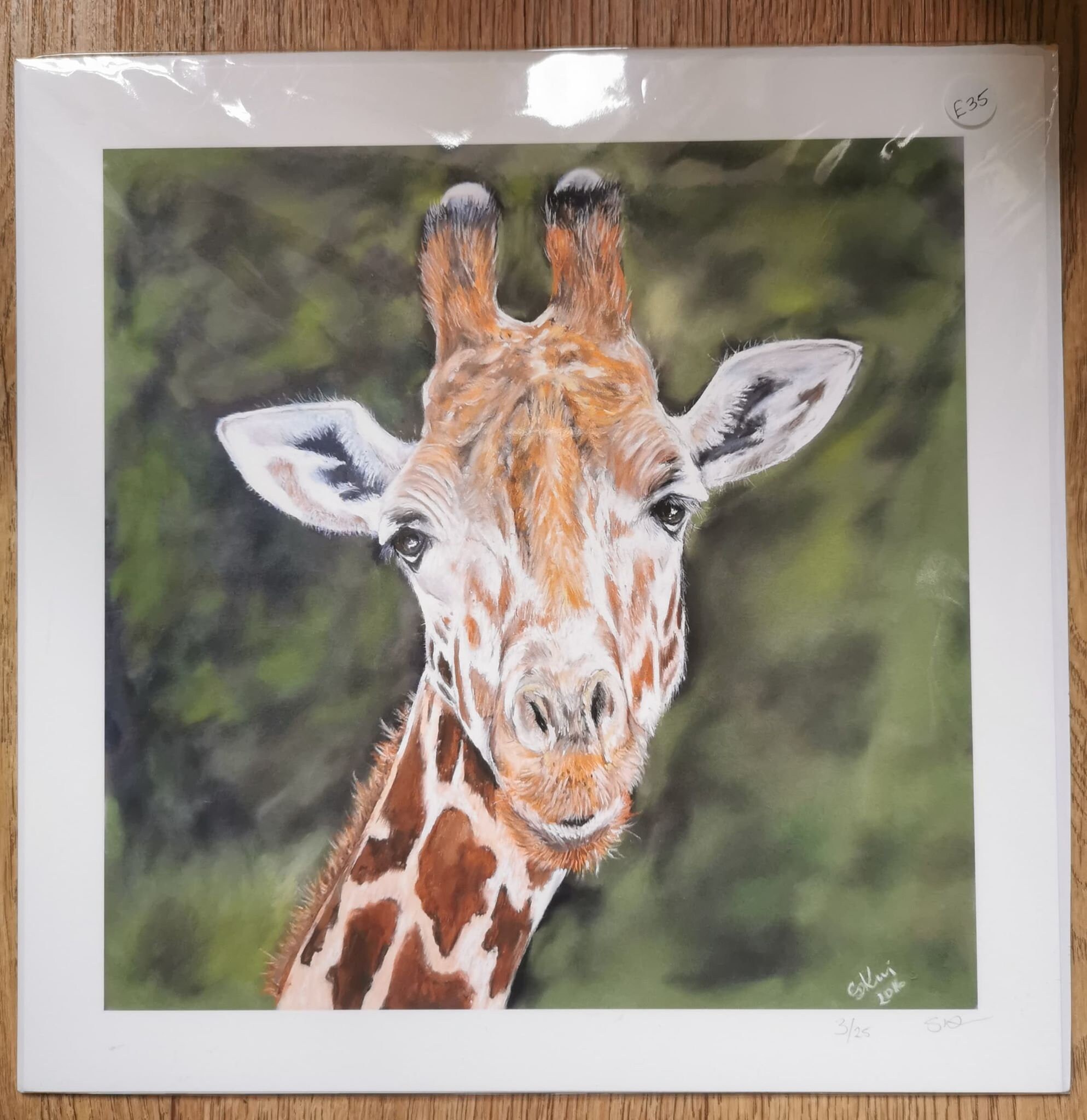 Giraffe Limited Edition Giclee Fine Art Print Sarah King - Etsy New Zealand