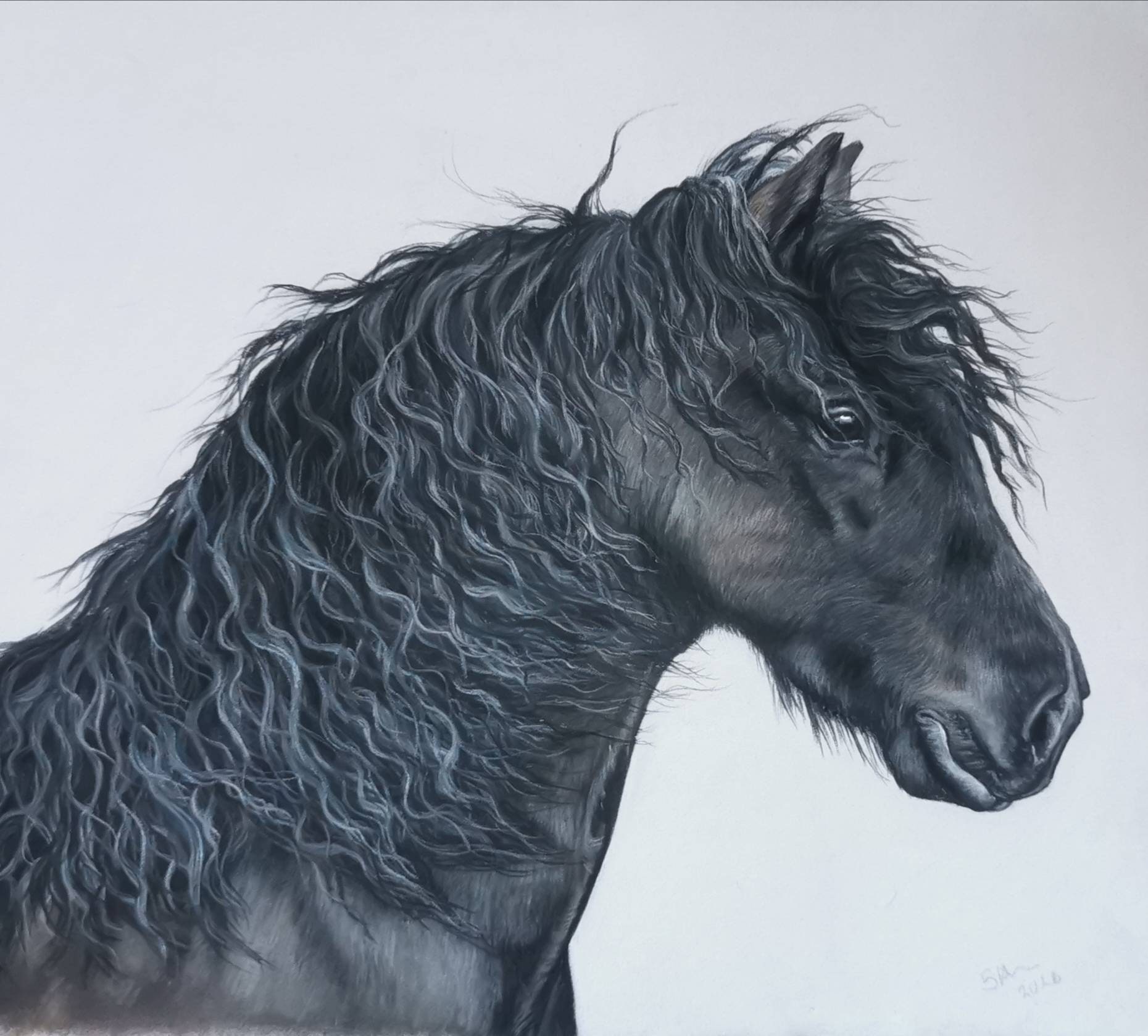 Horse original pastel artwork - by Sarah King Artist drawing - Etsy Italia
