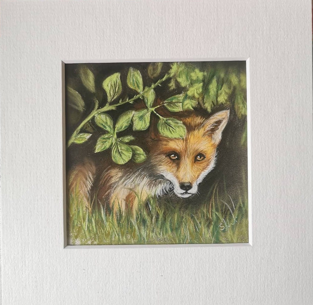 Fox Mini Original Pastel Artwork Framed by Sarah King Artist - Etsy