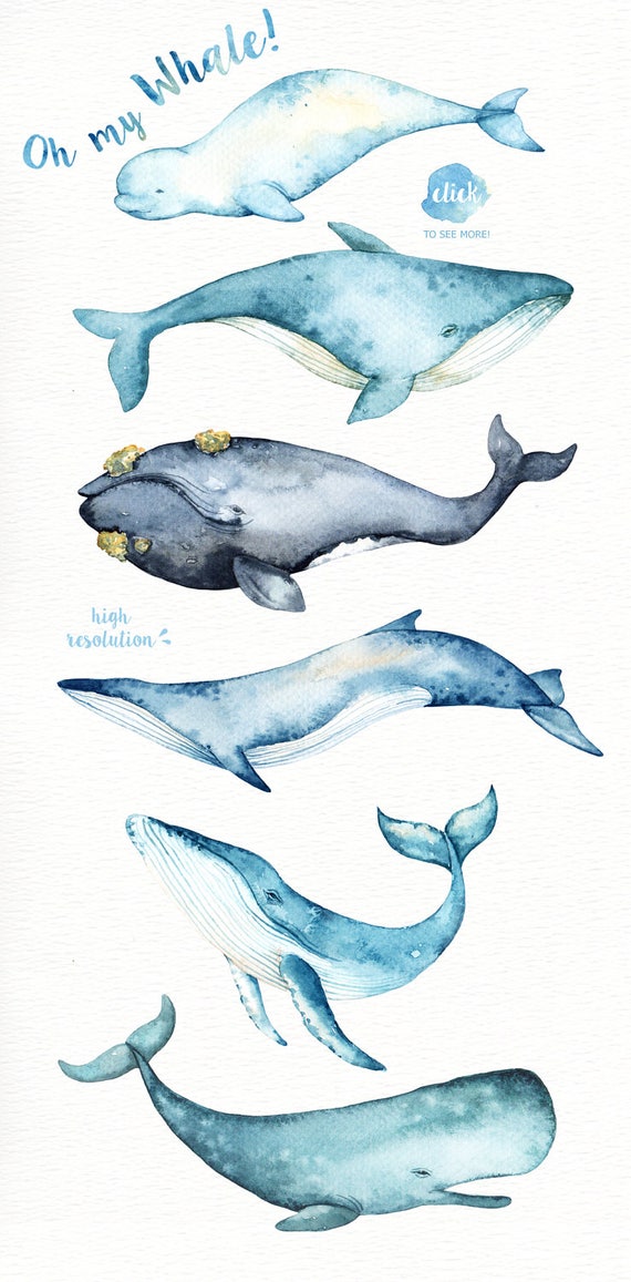 Craft Supplies & Tools Paper, Party & Kids Watercolor Whales clipart ...