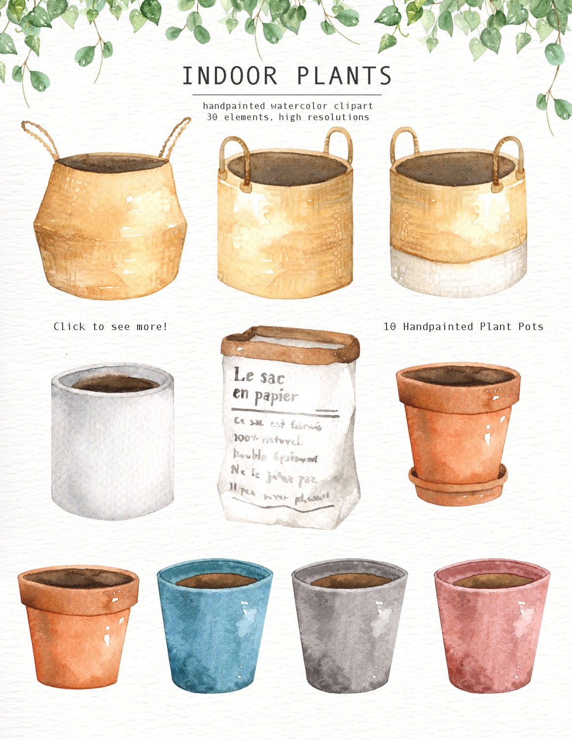 Indoor Plants Watercolor Clipart Watercolour Leaves - Etsy