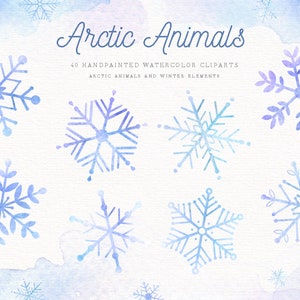 Arctic Animals Watercolor Clip Arts, Holiday Winter Set, Polar Animals ...