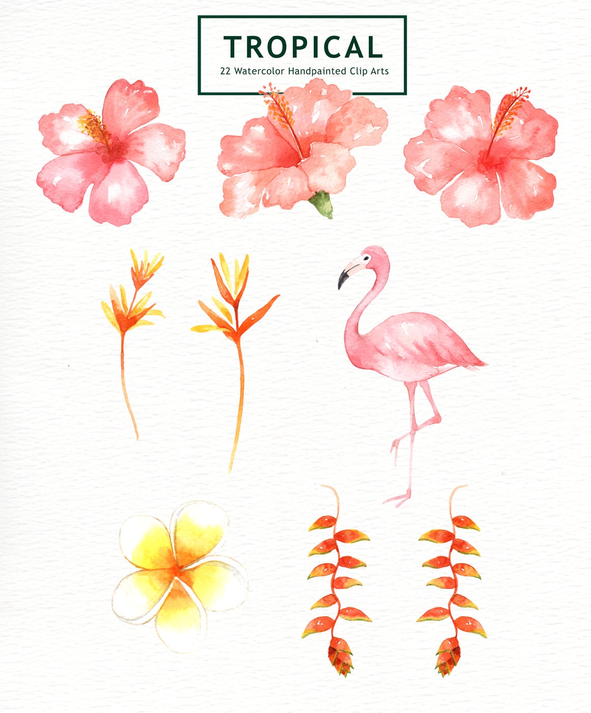 Tropical Leaves Watercolor Clipart, Watercolor Flower, Watercolor Leaf ...