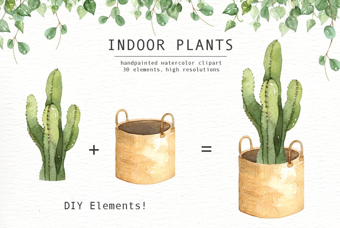 Indoor Plants Watercolor Clipart Watercolour Leaves - Etsy