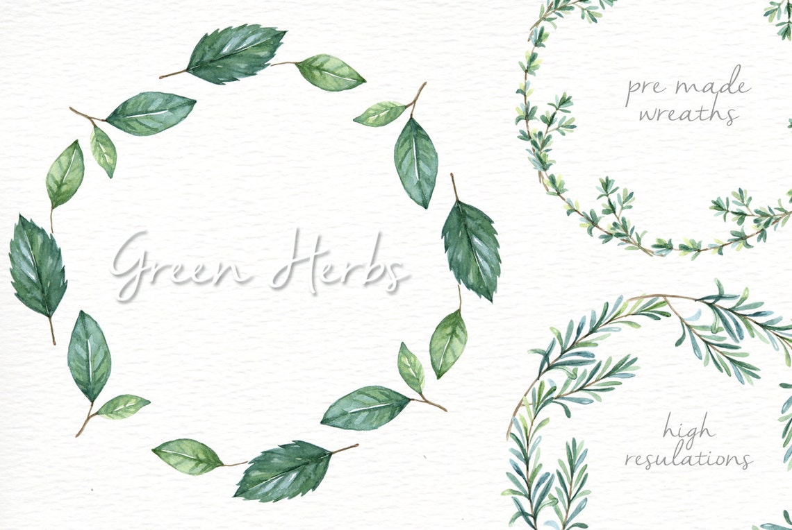 Green Herbs Watercolor Clipart Watercolor Flower Watercolour | Etsy