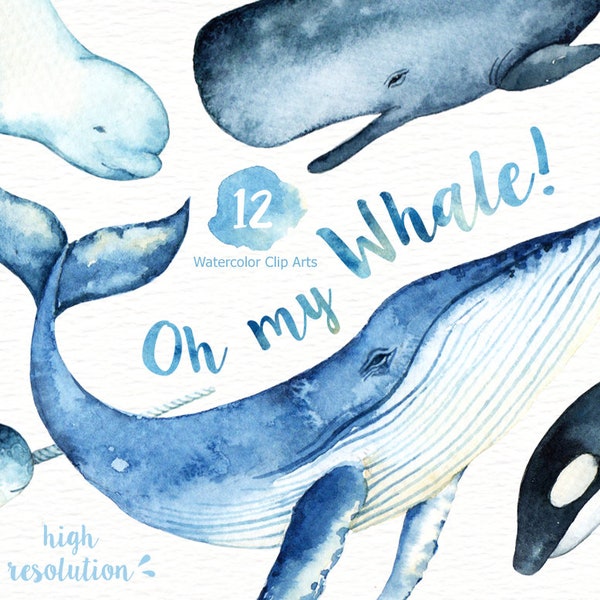 Whale Clip Art - Etsy UK