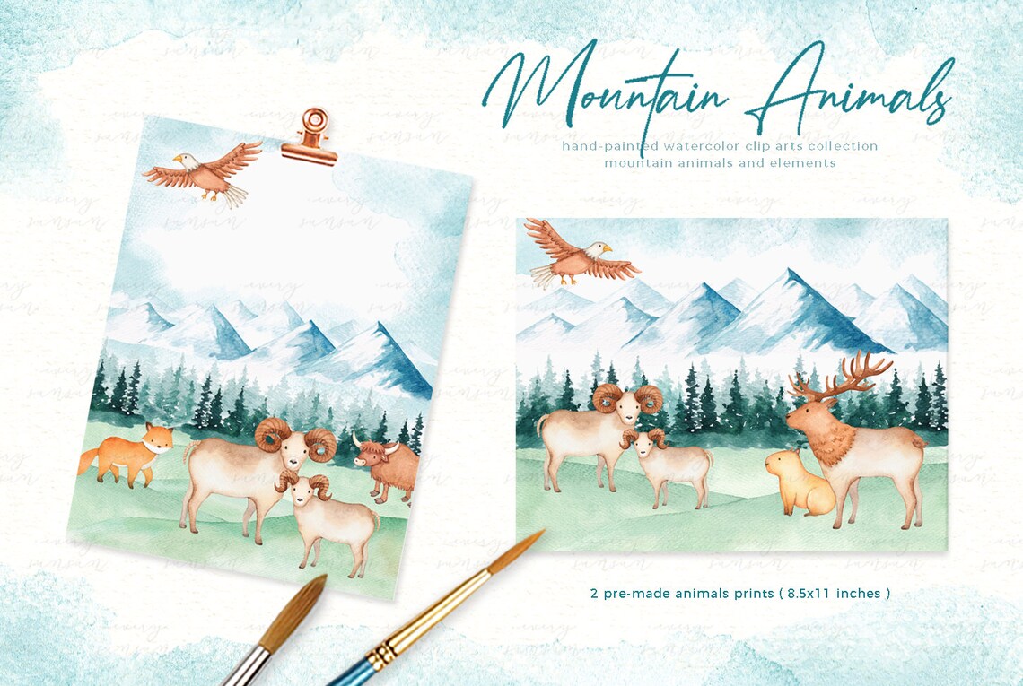 Mountain Animals Watercolor Clip Art Woodland Animals Kids - Etsy