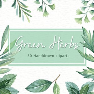 Green Herbs Watercolor Clipart, Watercolor Flower, Watercolour Leaves ...
