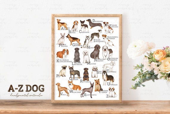 Dog Breeds Alphabet By