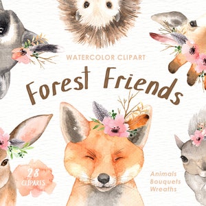 Forest Friends Watercolor Clip Art,woodland Animals, Kids Clipart,boho ...